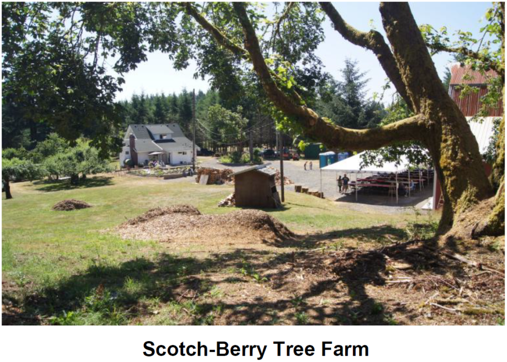 Scotch-Berry-Tree-Farm